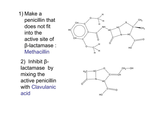 Penicillin.ppt