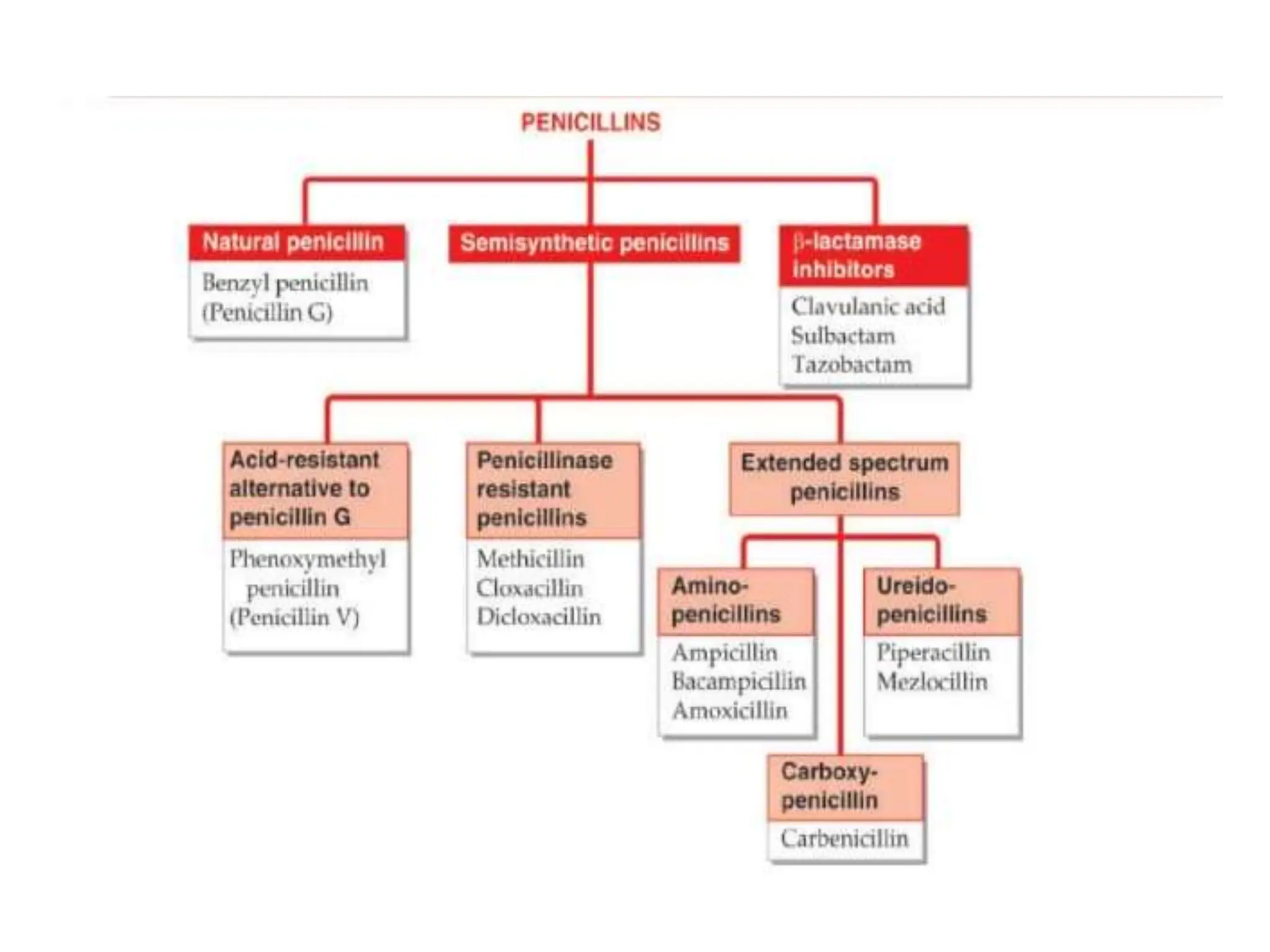 Penicillin ppt, pharmacology, presentation | PPT