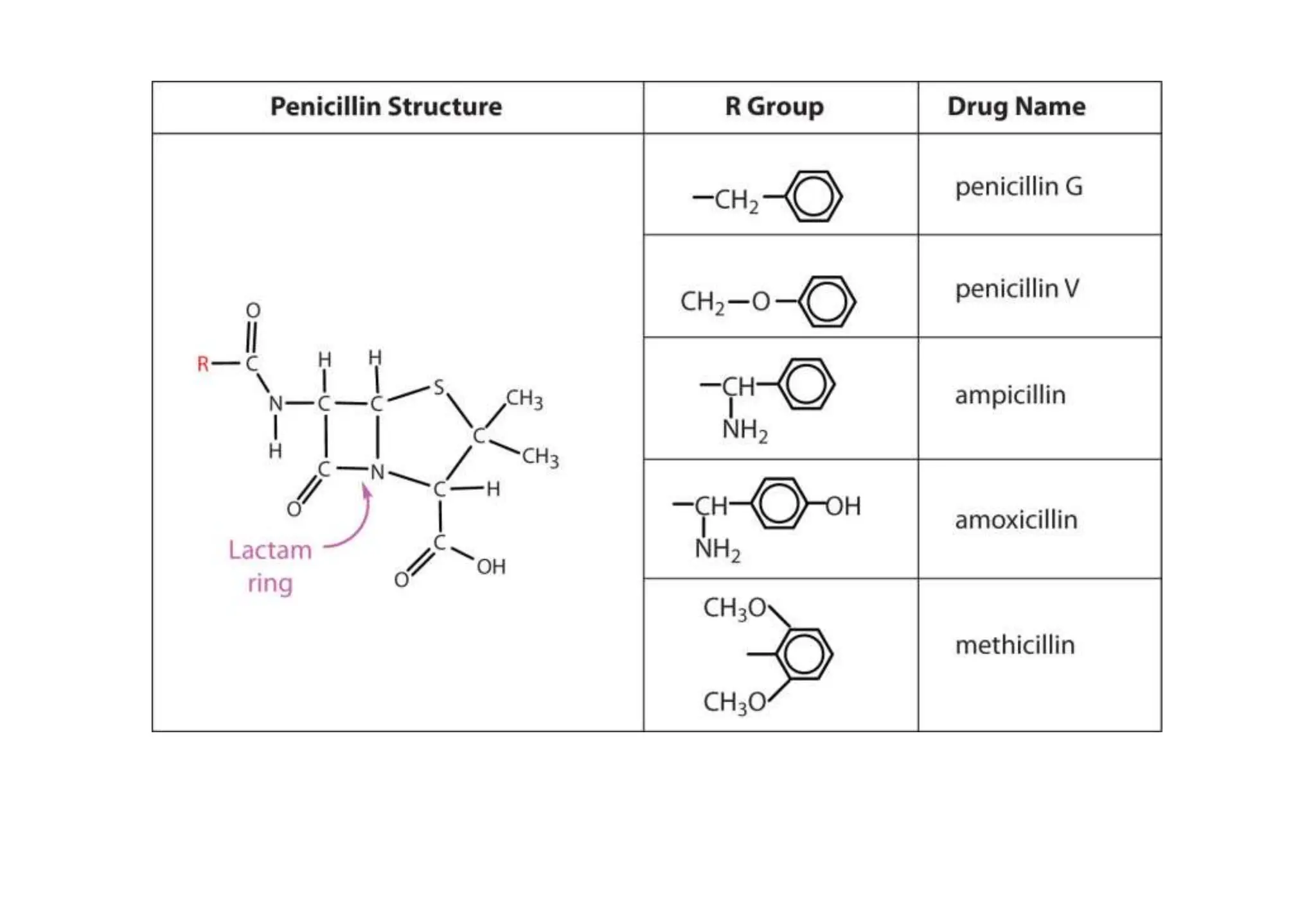 Medicinal chemistry Penicillin antibiotics | PPTX
