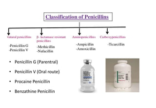 Medicinal chemistry Penicillin antibiotics | PPTX