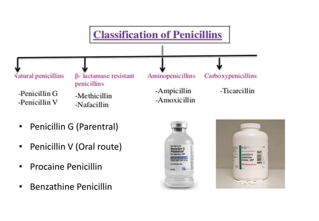 Medicinal chemistry Penicillin antibiotics | PPTX