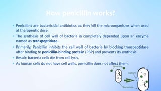 Penicillin...........................pptx