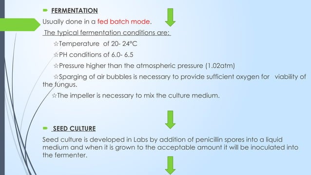 produksi penicillin dengan bbrp metode.ppt