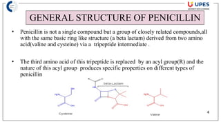 penicillin production using rDNA technology | PPTX