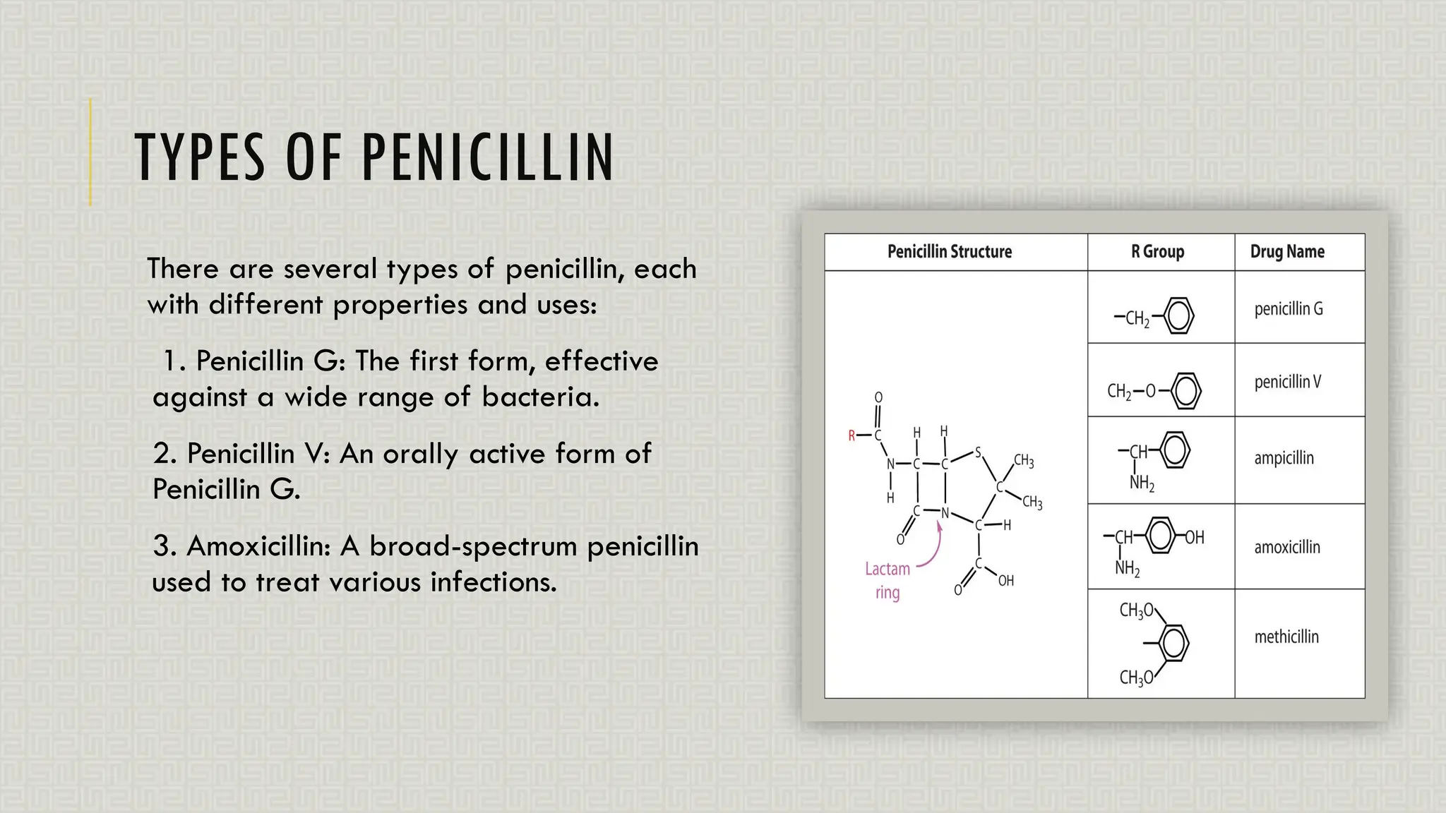 penicillin discovery and mechanism its types and future off the drug | PPT