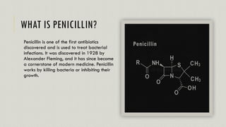 penicillin discovery and mechanism its types and future off the drug | PPT