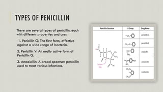 penicillin discovery and mechanism its types and future off the drug | PPT