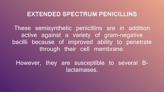Pharmacology of Semi synthetic Penicillins | PPTX