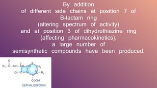 Pharmacology of Cephalosporins | PPTX