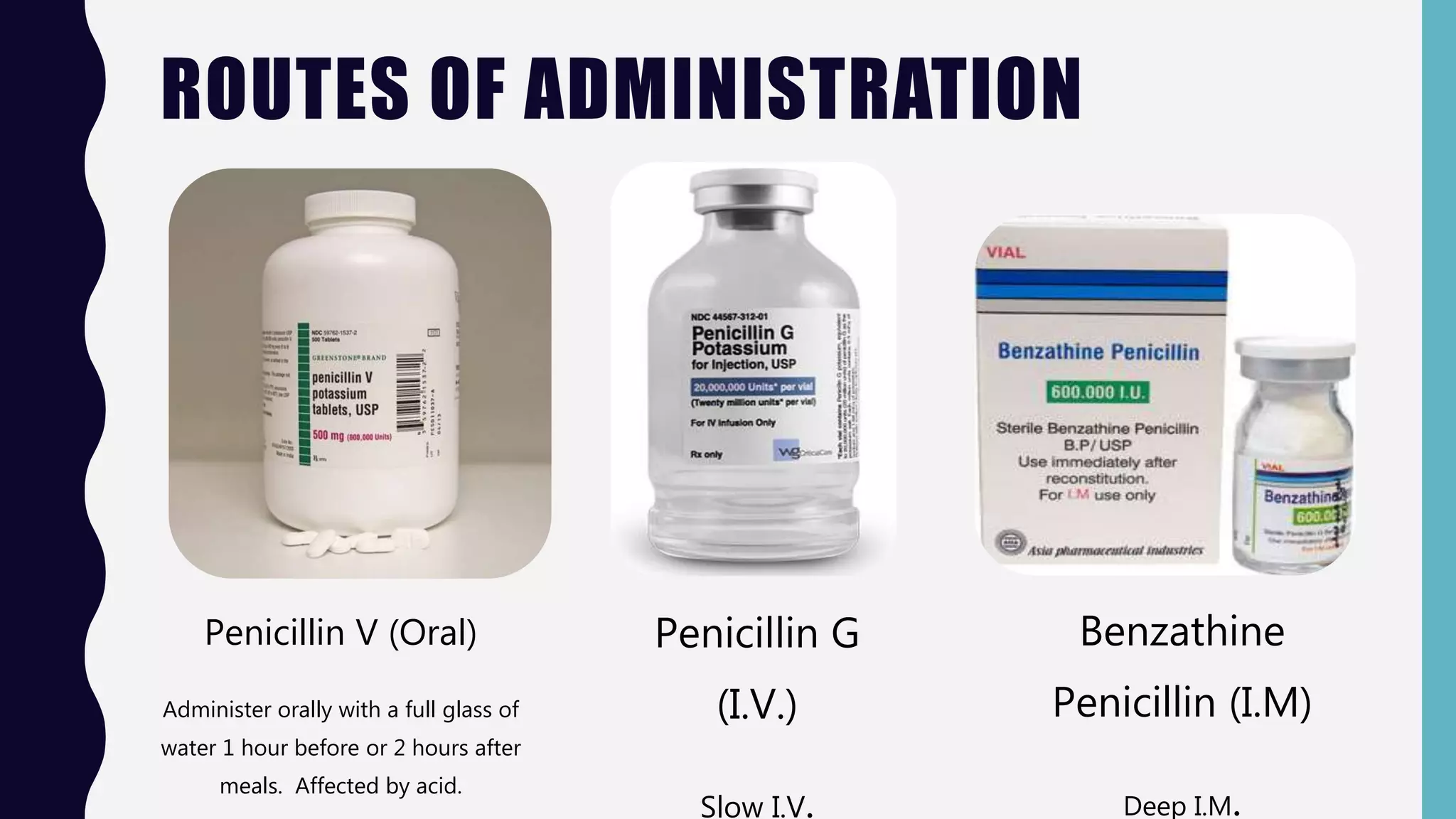 Penicillin & Ampicillin By Essam Sidqi | PPTX