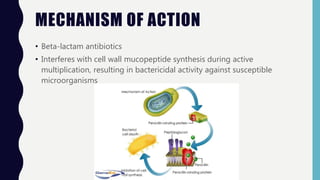 Penicillin & Ampicillin By Essam Sidqi | PPTX