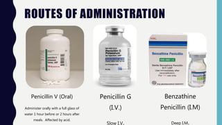 Penicillin & Ampicillin By Essam Sidqi | PPTX