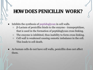 Penicillin and its industrial production | PPTX