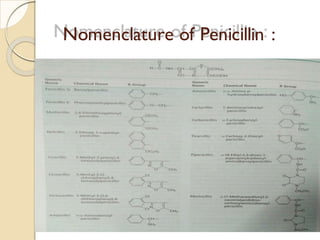 Penicillin Antibiotic Chemistry | PDF