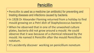 penicillin Antibiotics.pptx