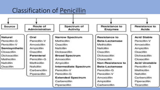 penicillin Antibiotics.pptx