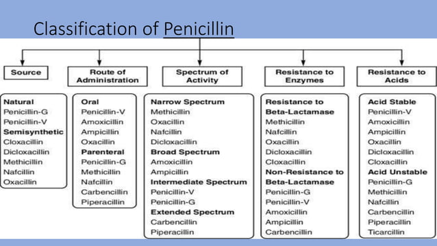 penicillin Antibiotics.pptx
