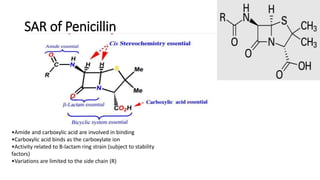 penicillin Antibiotics.pptx