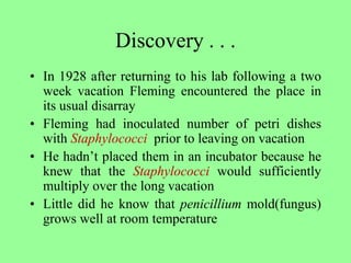 Discovery of Penicillin | PPT