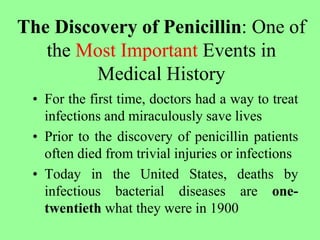Discovery of Penicillin | PPT