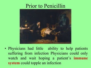 Discovery of Penicillin | PPT