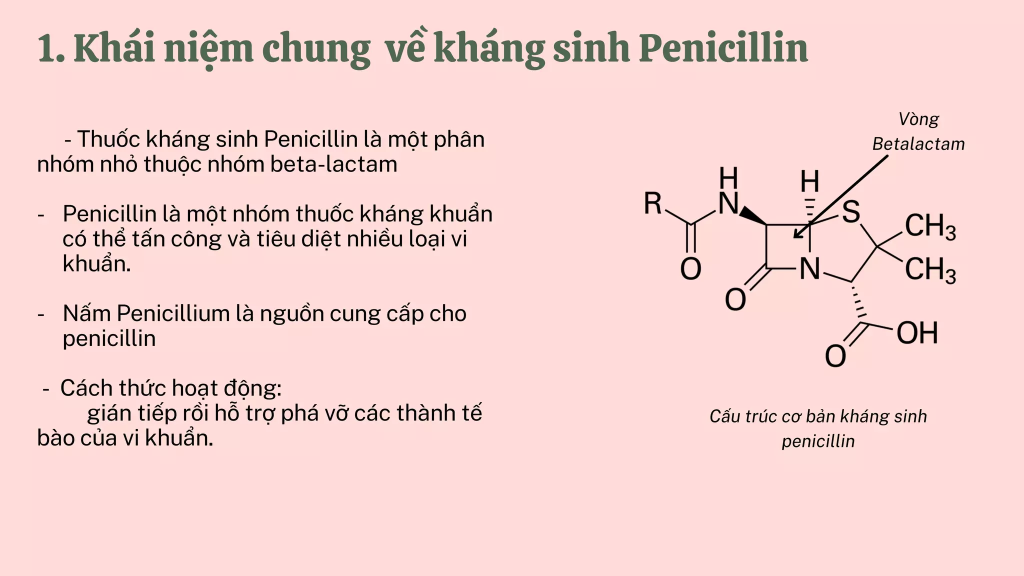 Penicilline.pptx