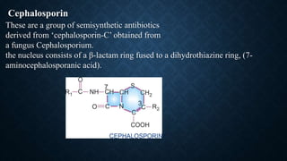 Penicilline and cephalosporin | PPTX