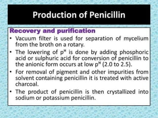 Penicilline production. Source inoculation production | PPTX