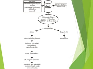 production of penicillin | PPT