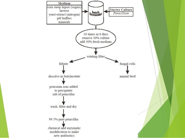 production of penicillin