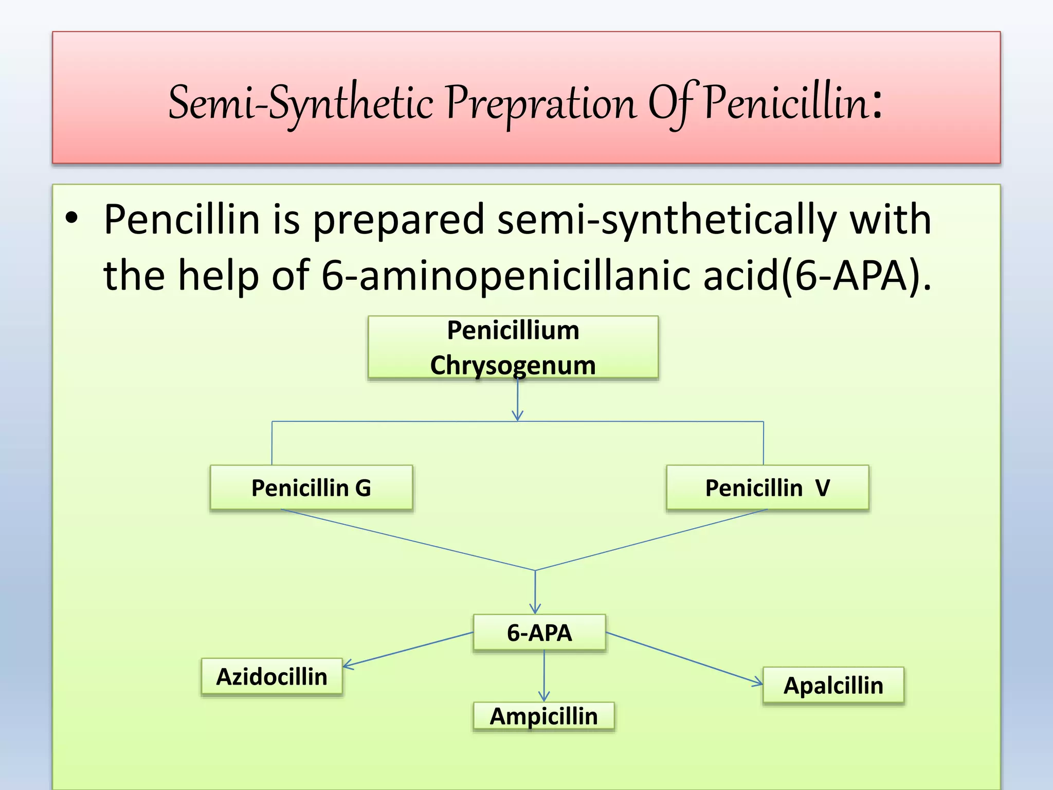 Penicillin fermentation- Pharmaceutical Microbiology | PPTX