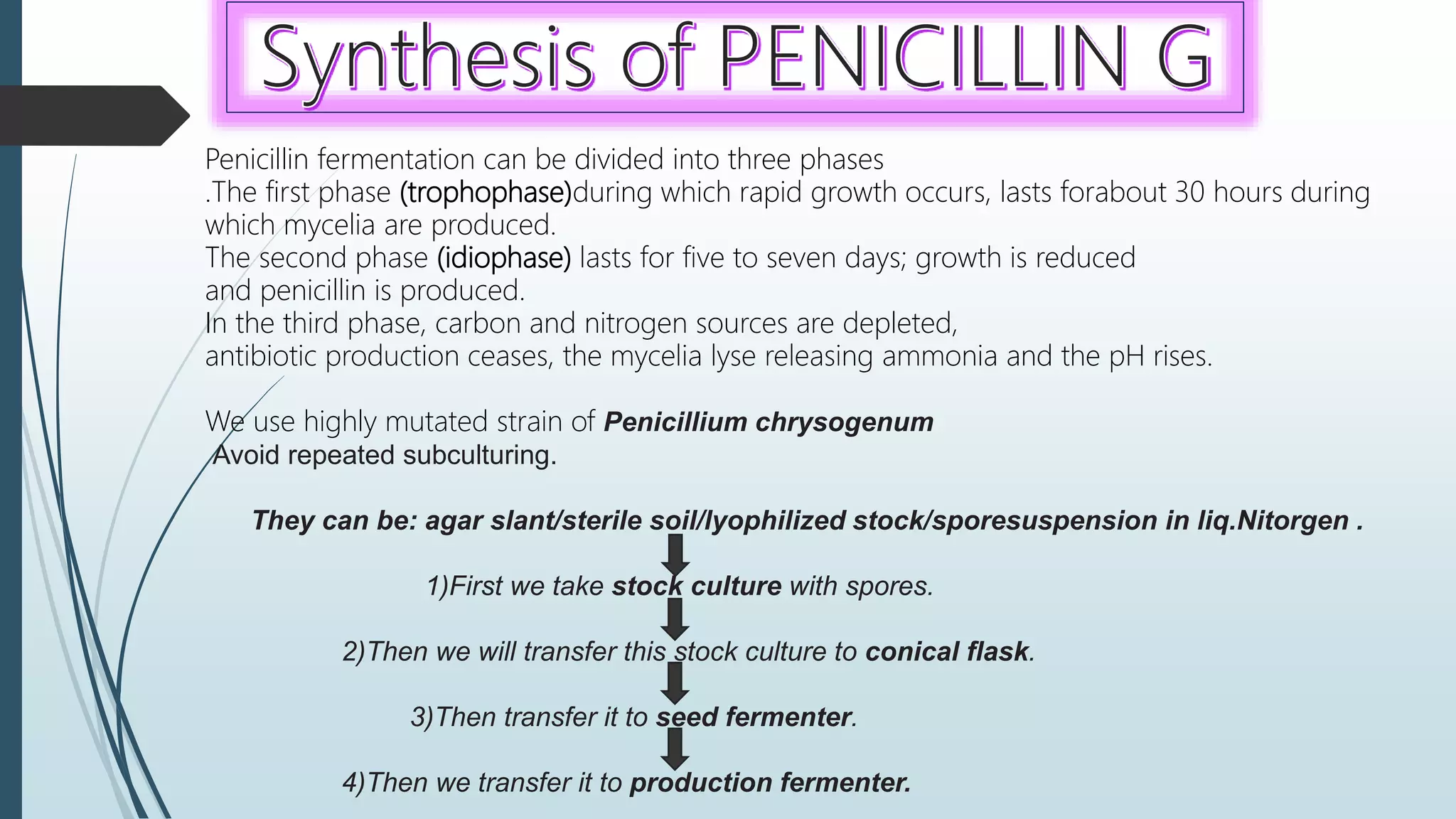 Penicillin full information | PPTX