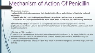 Penicillin full information | PPTX