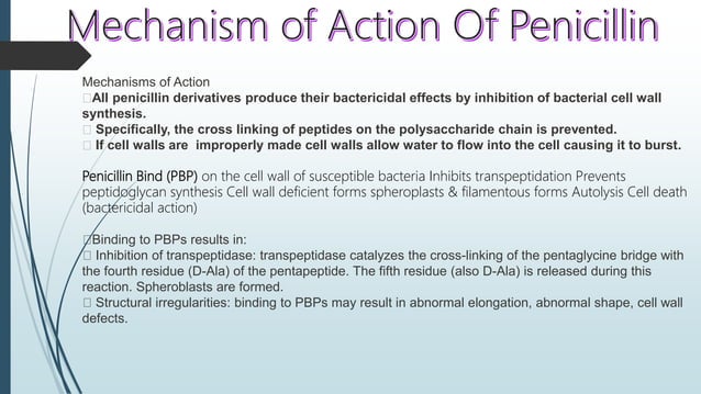 Penicillin full information | PPTX