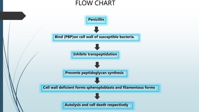 Penicillin full information | PPTX