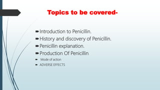 Penicillin full information | PPTX