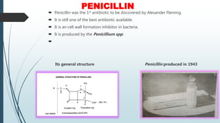 Penicillin full information | PPTX