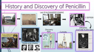 Penicillin full information | PPTX