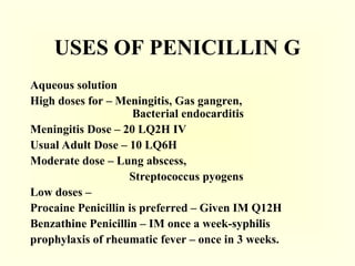 penicillin G antibiotics and beta lactam antibiotic | PPT