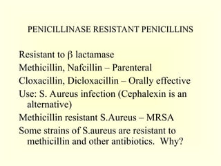 penicillin G antibiotics and beta lactam antibiotic | PPT