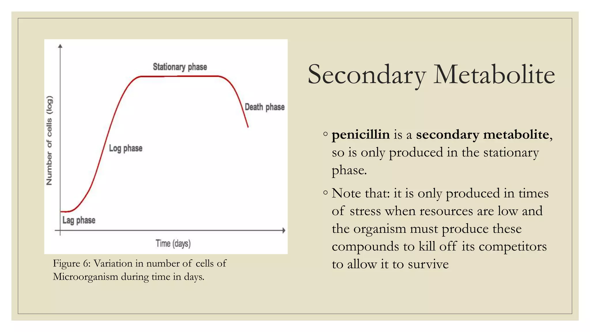 Fed-Batch fermentation for the Production of penicillin G from ...