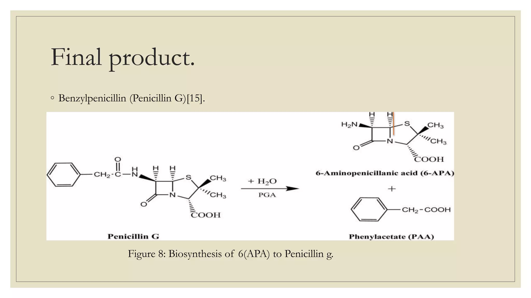 Fed-Batch fermentation for the Production of penicillin G from ...