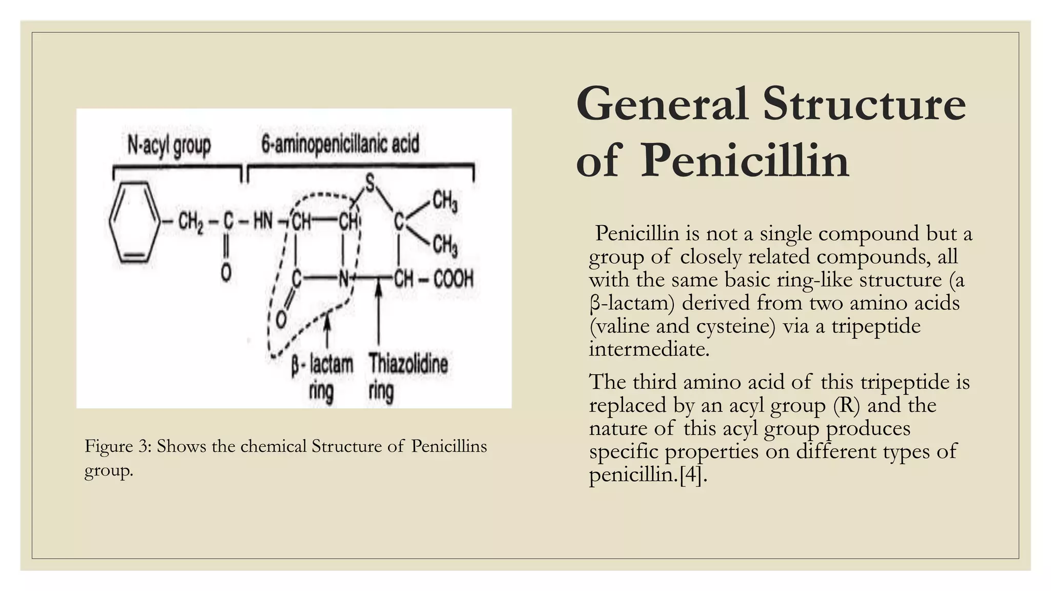 Fed-Batch fermentation for the Production of penicillin G from ...