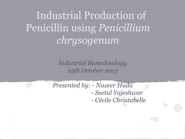 Penicillin prodtn using penicillium chrysogenum | PPTX | Pharmaceutical Drugs | Medical Health