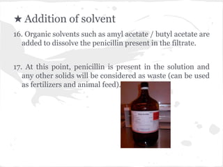 Penicillin prodtn using penicillium chrysogenum | PPTX