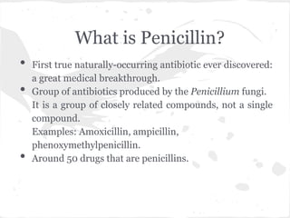 Penicillin prodtn using penicillium chrysogenum | PPTX | Pharmaceutical ...