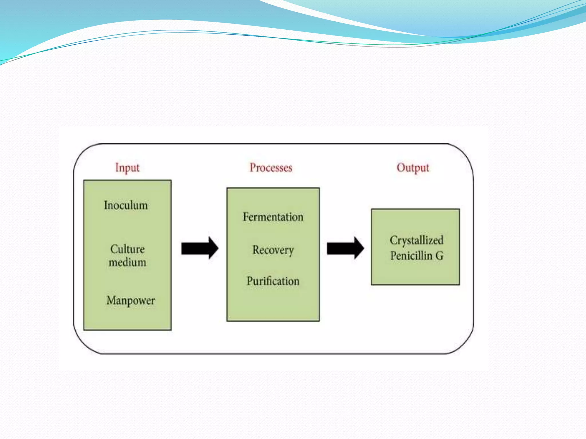Penicillin production | PPTX
