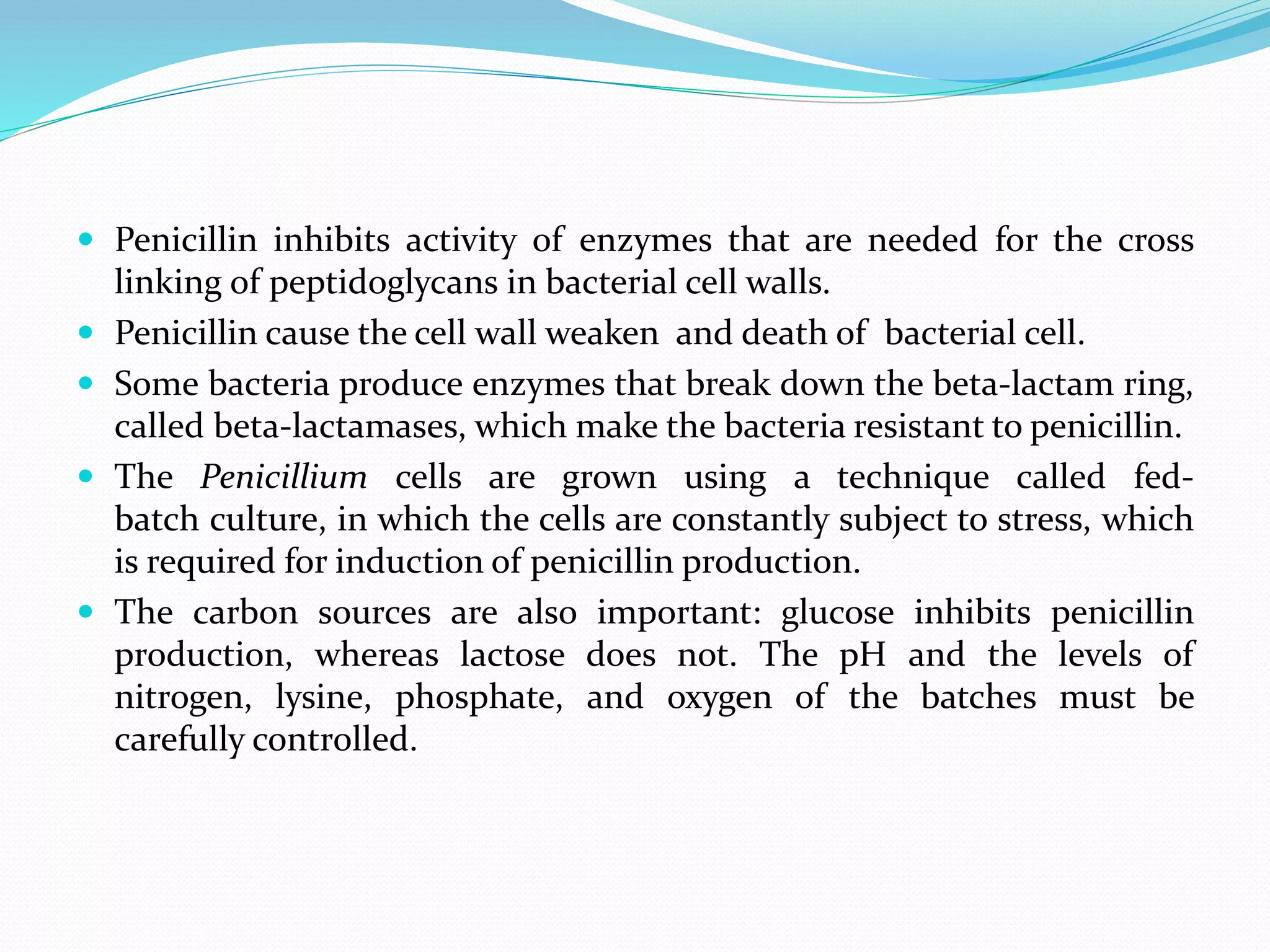 Penicillin production | PPTX