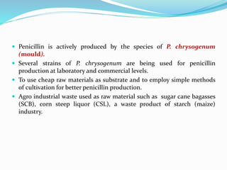 Penicillin production | PPTX