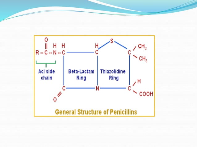 Penicillin production | PPTX